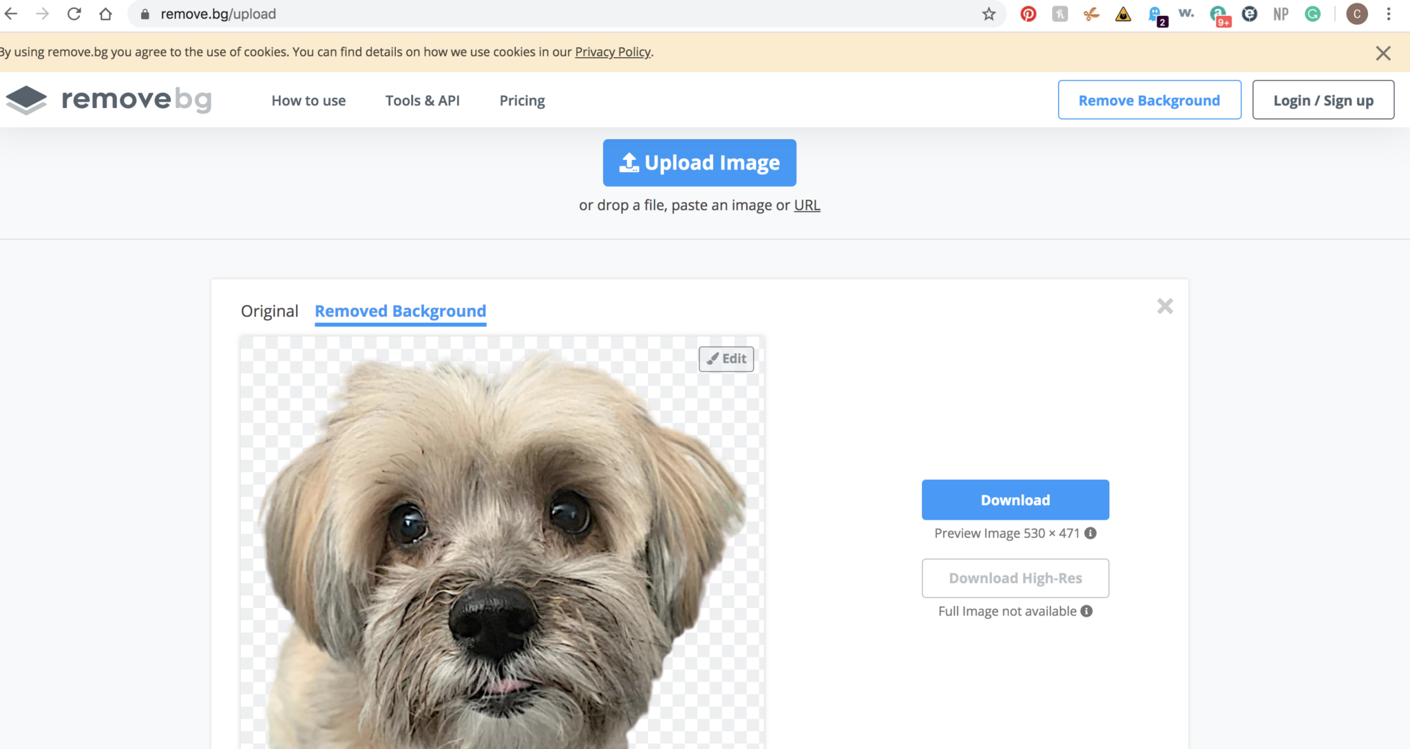 How to create a stencil from a photo - Home and Geek