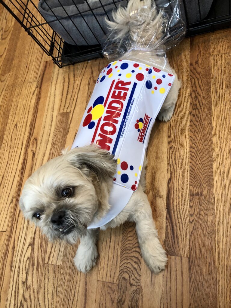 Wonder Bread Dog Costume - Home and Geek